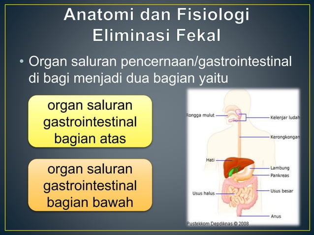 Anatomi dan Fisiologi Eliminasi Fekal | PPTX