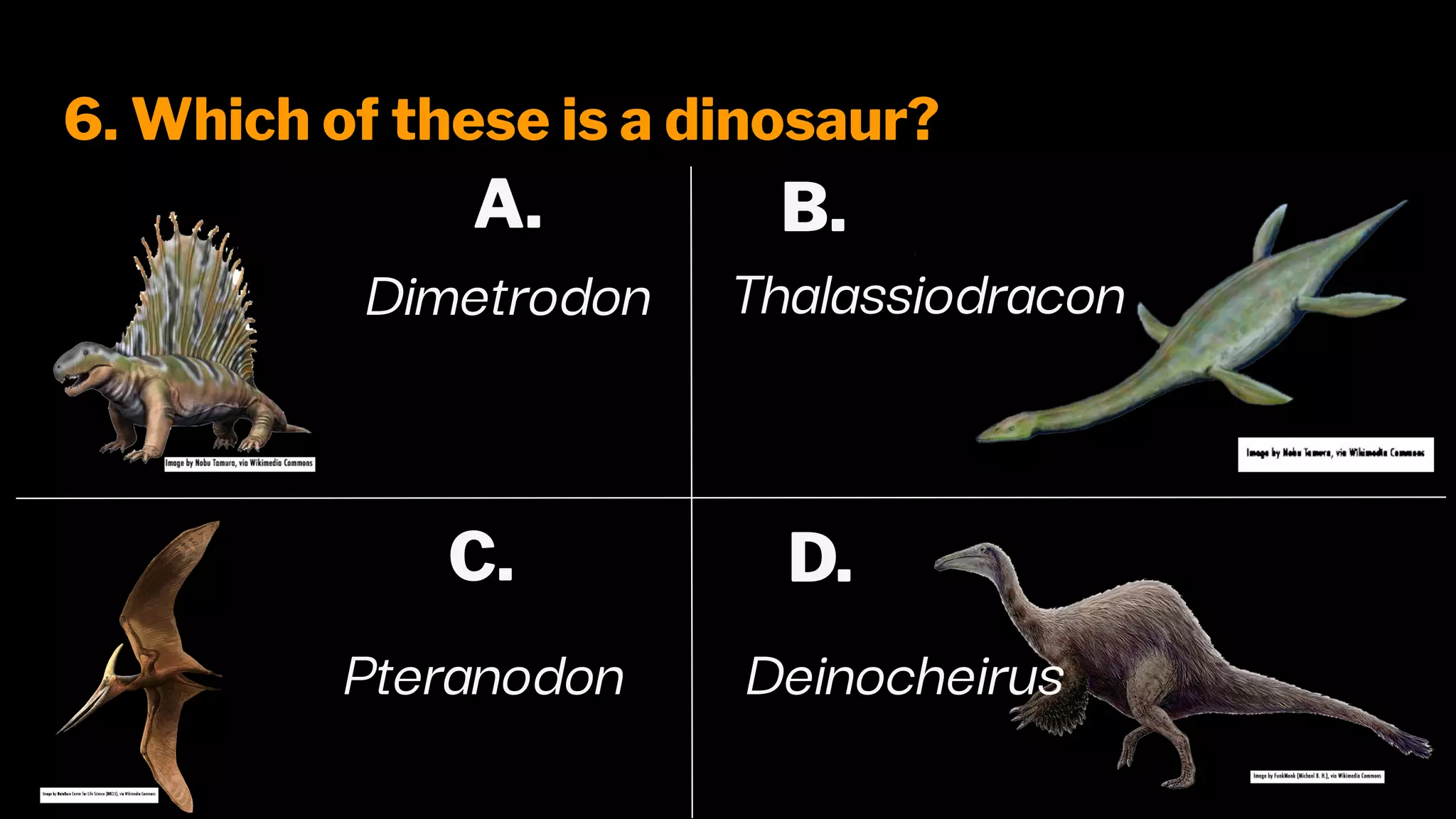 I Know Dino Trivia Questions | PPT