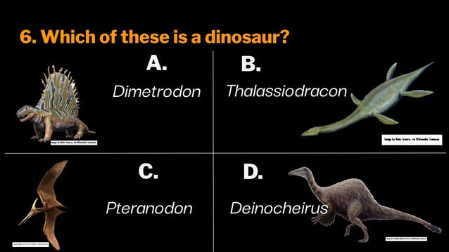 I Know Dino Trivia Questions | PDF