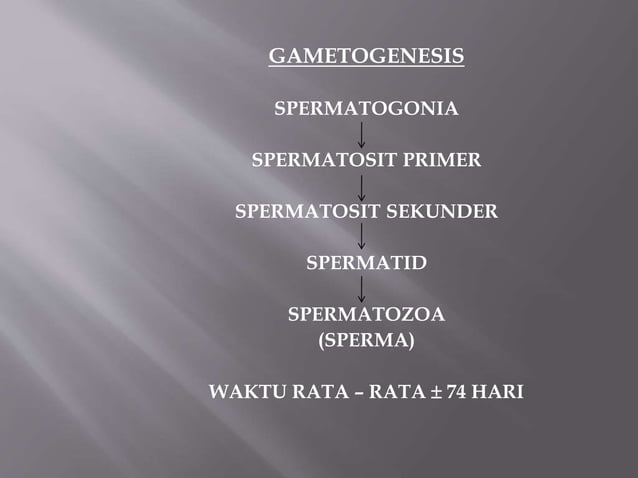 Ikd sistem reproduksi pria 2 | PPT