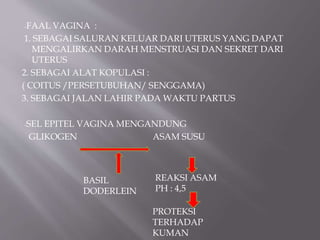 sistem reproduksi wanita (2) | PPTX