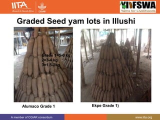 A comparative study of yam prices in Nigeria from 2012- 2016: A case study of 8 major yam ...