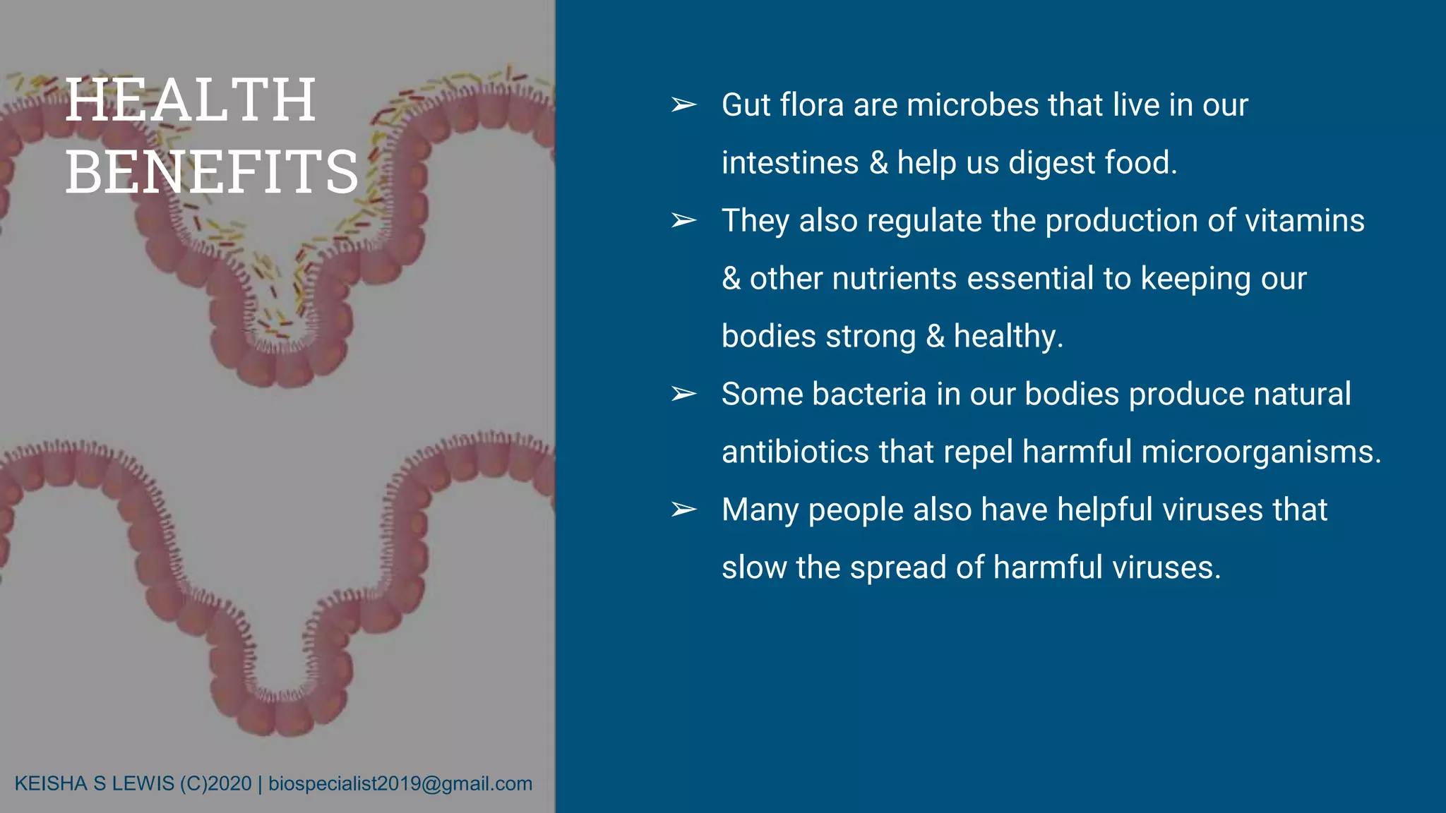 CSEC Science - Benefits of Microbes | PPTX