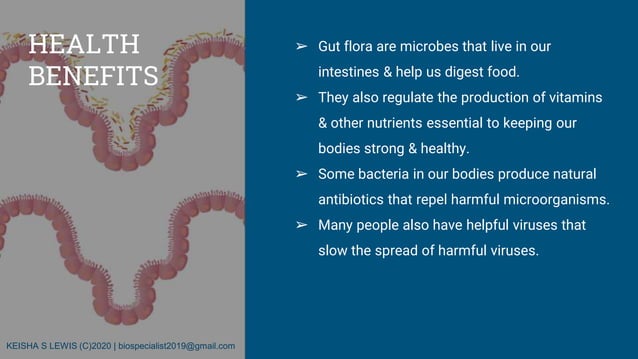CSEC Science - Benefits of Microbes | PPTX
