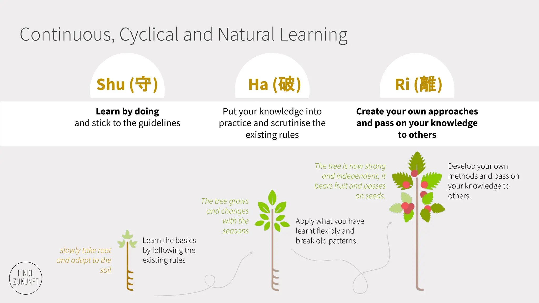 ShuHaRi – A Principle for Lifelong Learning | PDF