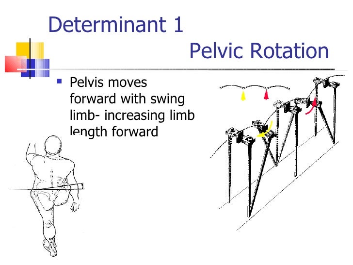 I:\Kinemetics Of Gait2 Dh 2
