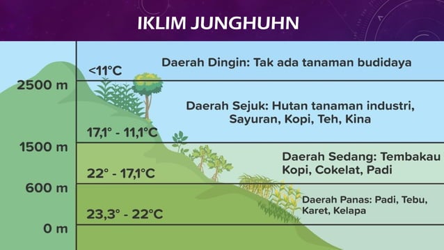 IKLIM & Cuaca geografi kelas 7jbjbjkbkjbjk | PPT