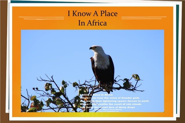 "I Know A Place In Africa" - Poetry by Wayne Visser - Photography by ...