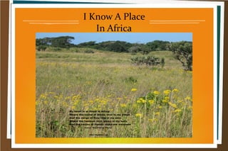 "I Know A Place In Africa" - Poetry by Wayne Visser - Photography by ...