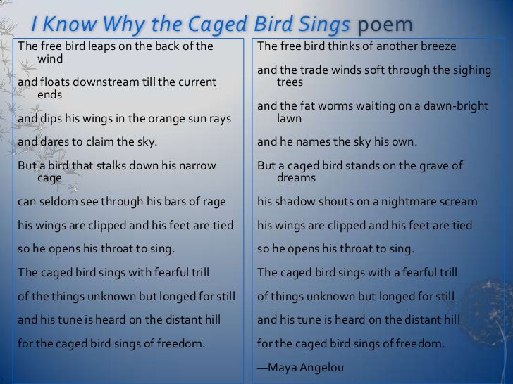 Caged Bird Analysis