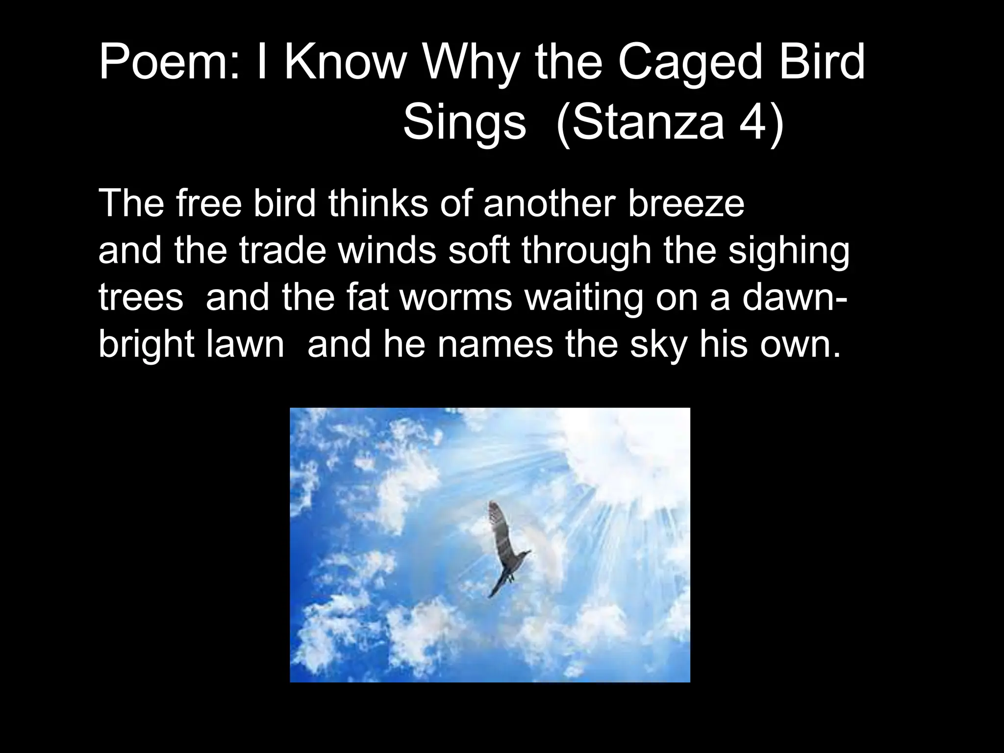 I Know Why the Caged Bird Sings Presentation.pptx