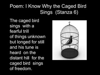I Know Why the Caged Bird Sings Presentation.pptx