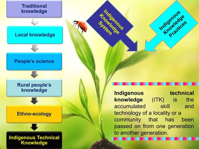 Indigenous Technological Knowledge (ITK) or IKP/ITK | PPTX | Science