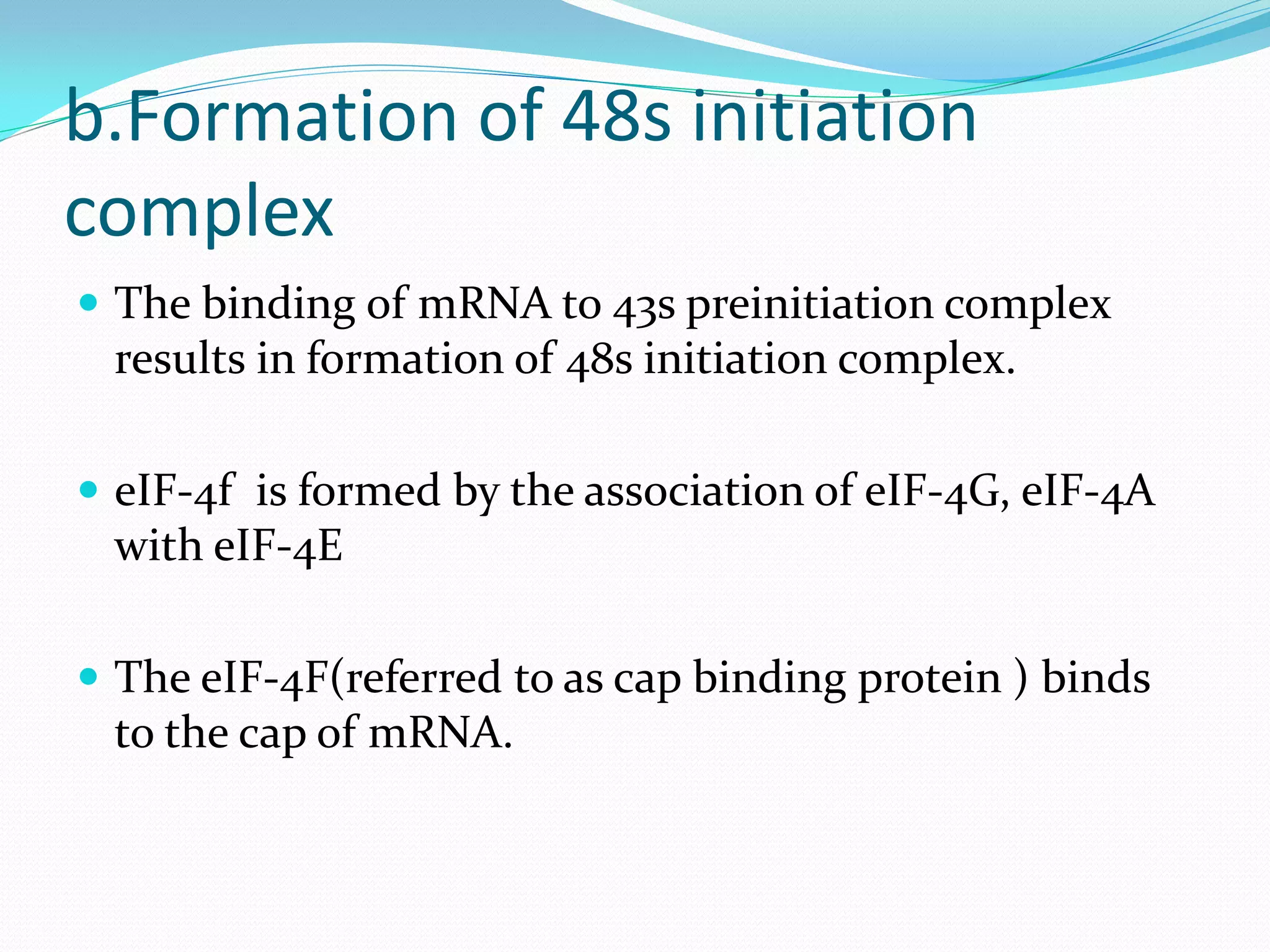 Translation in Prokaryotes and Eukaryotes | PDF
