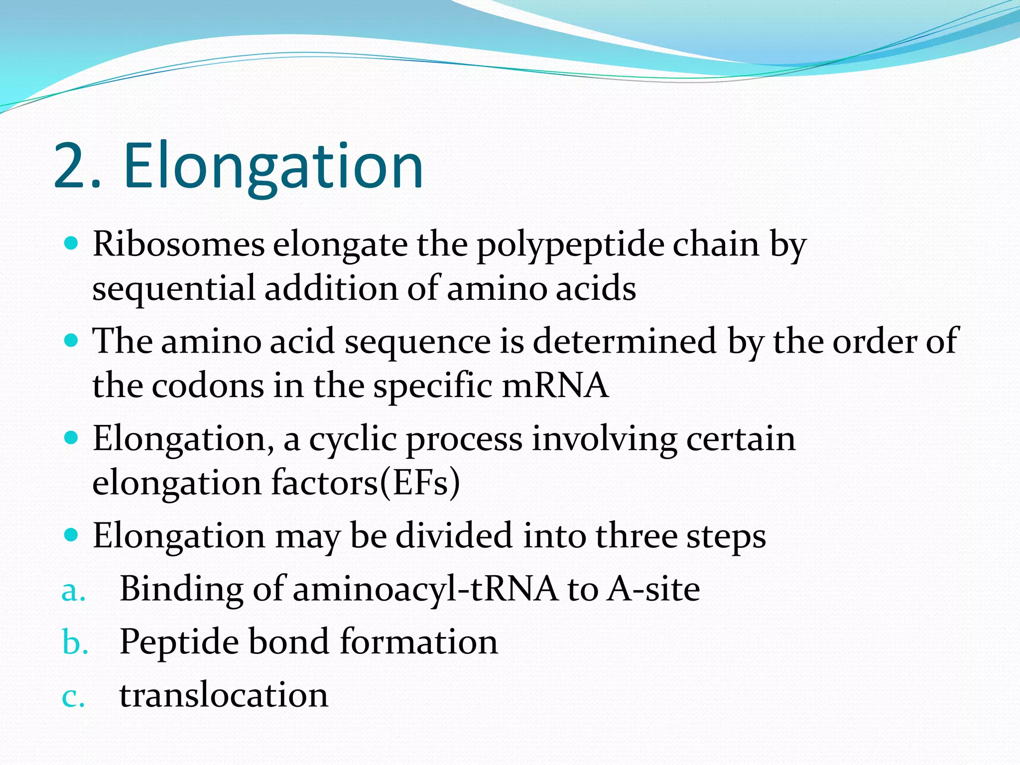Translation in Prokaryotes and Eukaryotes | PDF