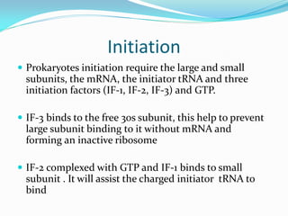 Translation in Prokaryotes and Eukaryotes | PDF