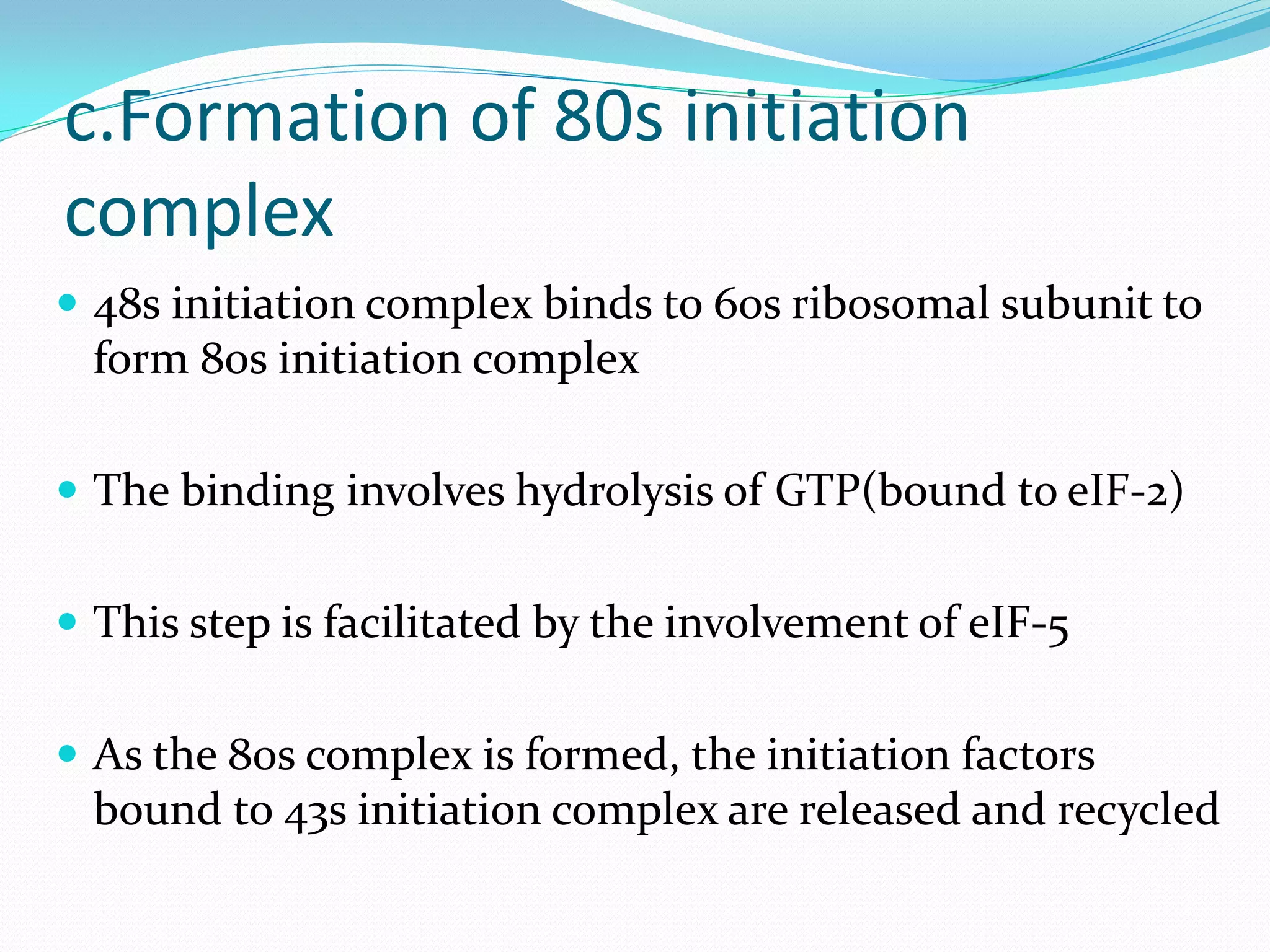 Translation in Prokaryotes and Eukaryotes | PDF