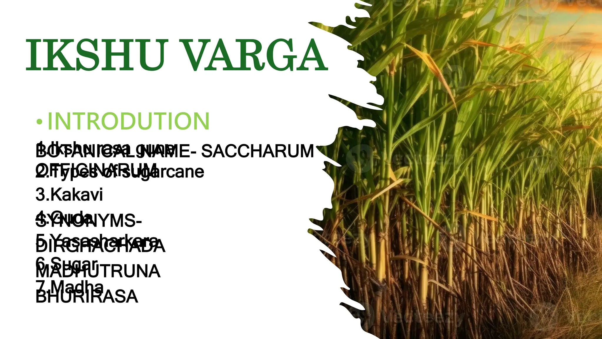 IKSHU VARGA (17 TO 24).pptxnnnnnnnnnbbbnjjq | PPTX