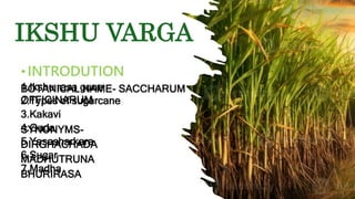 IKSHU VARGA (17 TO 24).pptxnnnnnnnnnbbbnjjq | PPTX