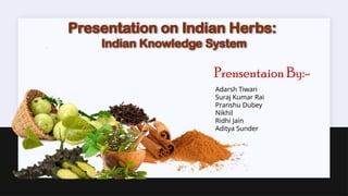 Indian Knowledge System About Indian Herbs | PPTX