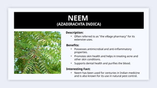 Indian Knowledge System About Indian Herbs | PPTX