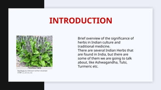 Indian Knowledge System About Indian Herbs | PPTX