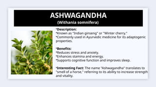 Indian Knowledge System About Indian Herbs | PPT