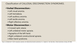 Disconnection_syndrome.pptx | Brain and Nervous System Disorders ...
