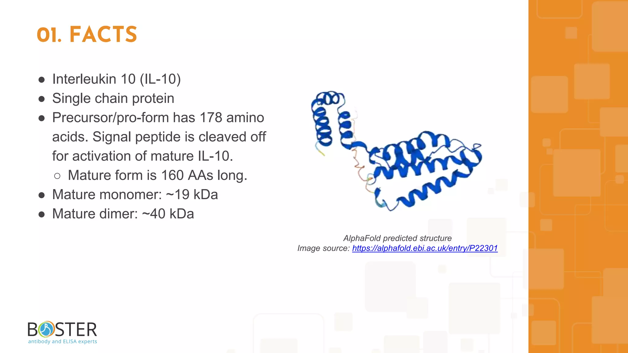 Learn IL-10 in 3 minutes | Interleukin 10 | PPTX