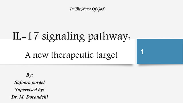 Il 17 signaling pathway a new therapeutic target | PPT
