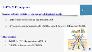 Il 17 signaling pathway a new therapeutic target | PPTX