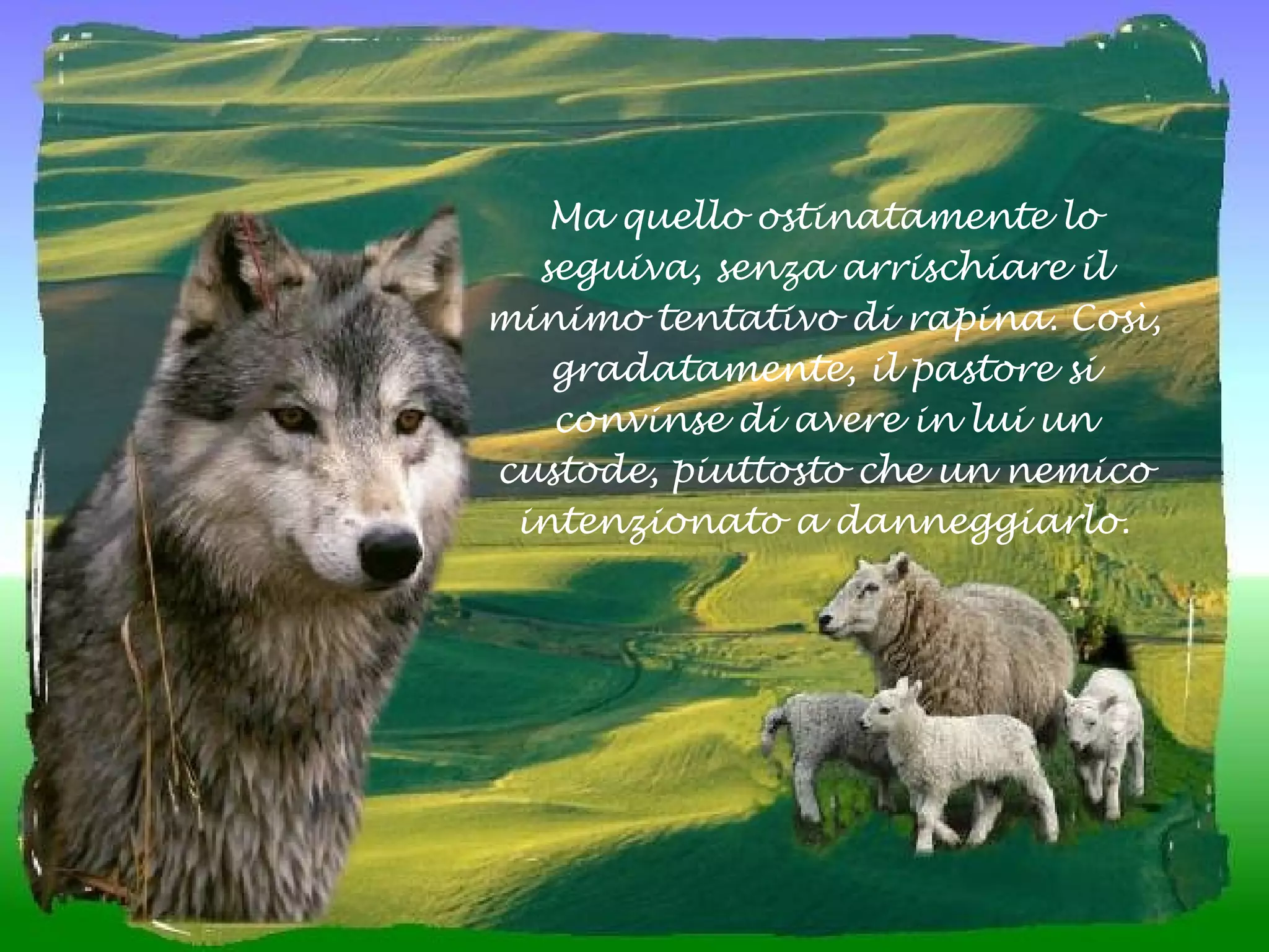 Il Lupo E Il Pastore 04 Bam10 | PPS