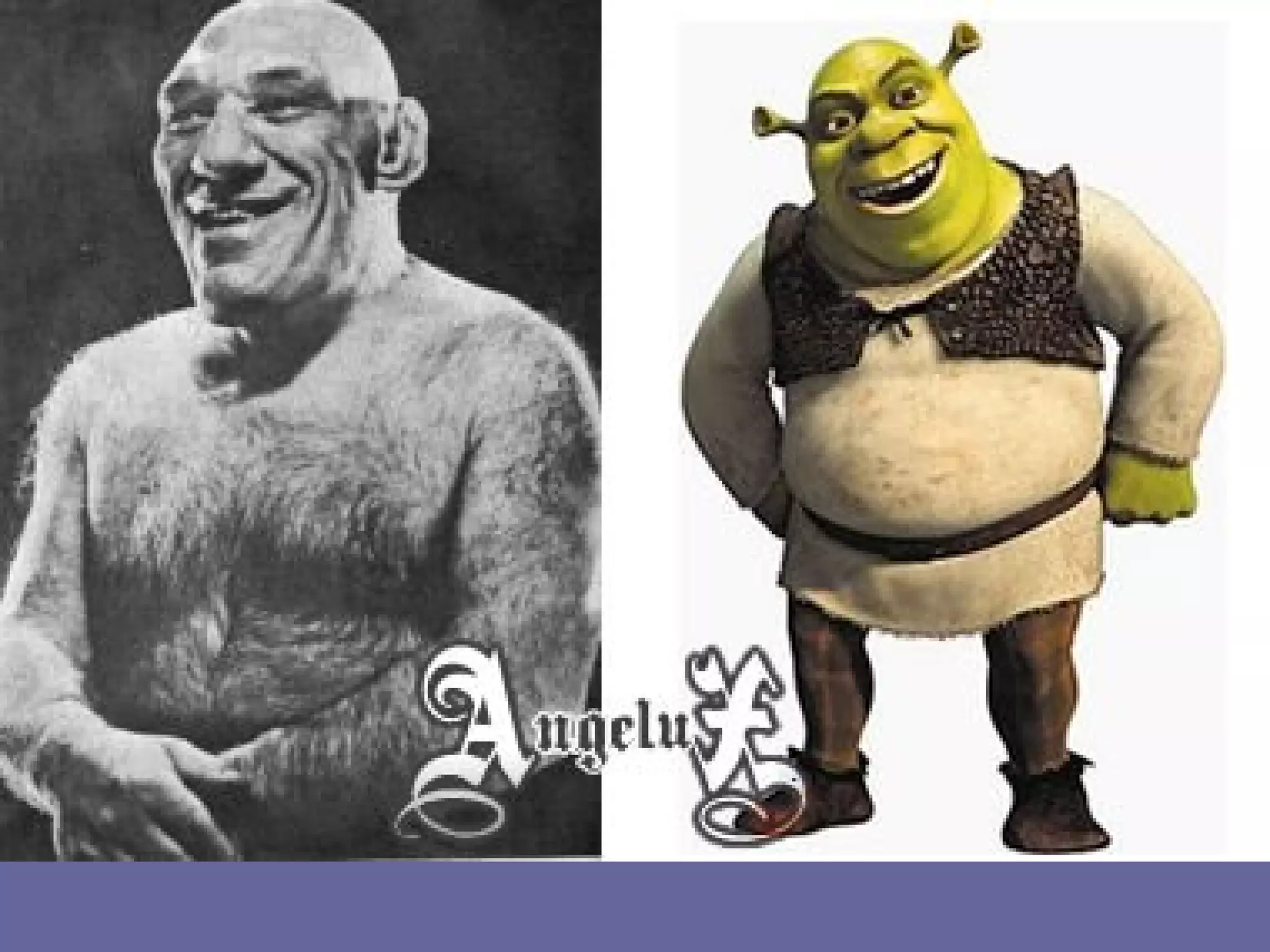 Il Vero Shrek | PPT