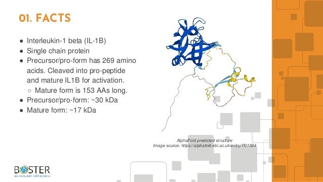 Learn IL-1 Beta in 3 minutes | Interleukin-1 beta, IL1B, IL-1F2 | PPTX
