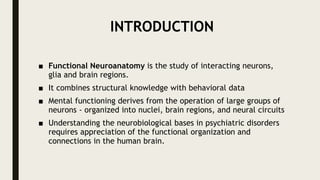 Functional Neuroanatomy in relation to Psychiatry | PPTX