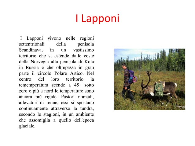 I lapponi tommy e viz | PPT