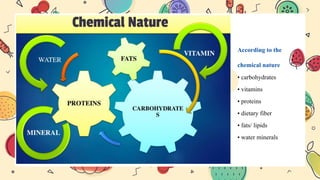 Classification of Food | PDF