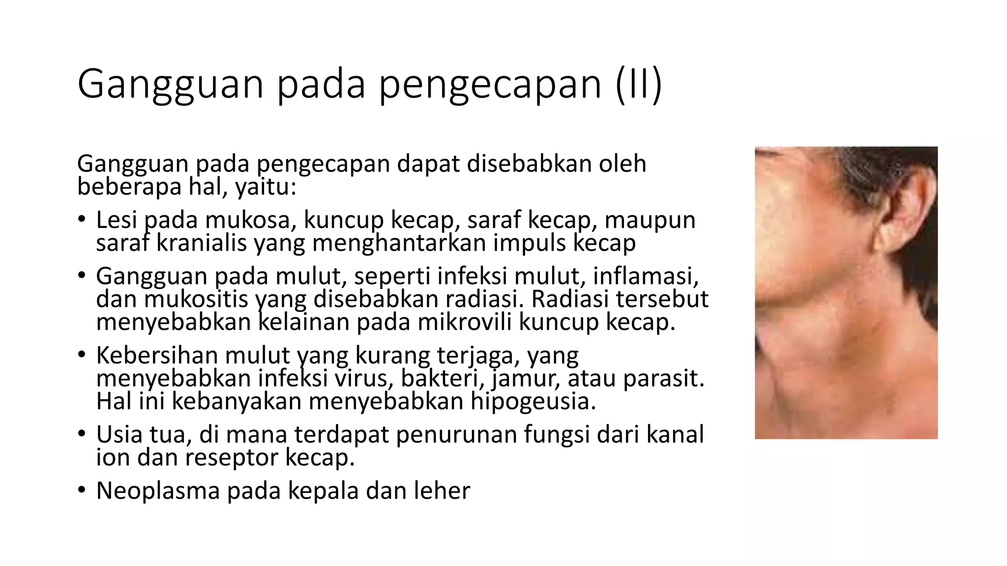 Anatomi & Fisiologi Lidah | PPTX