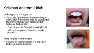 Anatomi & Fisiologi Lidah | PPTX
