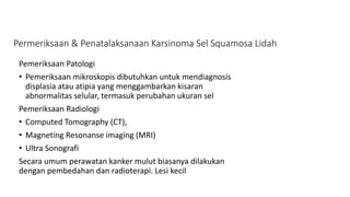 Anatomi & Fisiologi Lidah | PPTX