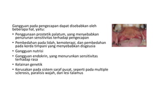 Anatomi & Fisiologi Lidah | PPTX