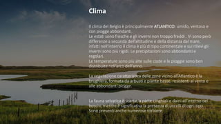 Belgio - Bartalini | PPT