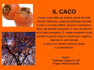 Il cachi | PPT