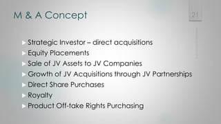 Lithium Royalty And Strategic Investments Company: International ...