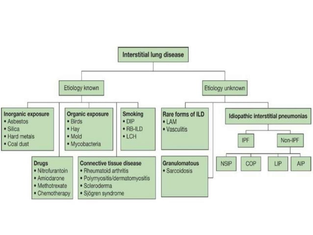 Interstitial Lung Disease | PPTX | Lung and Respiratory Health | Diseases and Conditions