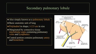 INTERSTITIAL LUNG DISEASE Pattern Approach main.pptx