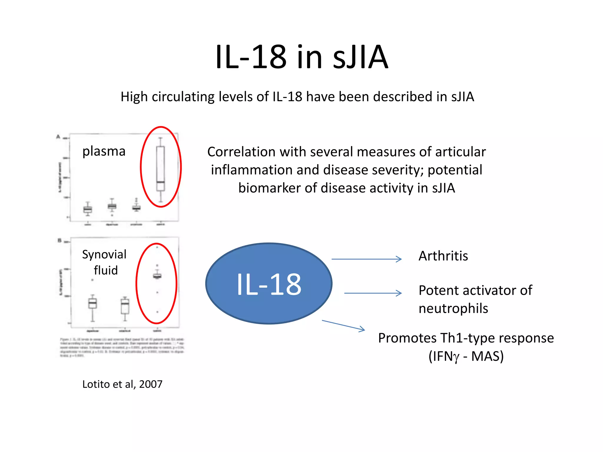 Immune Mechanisms of Inflamation in SJIA | PPTX