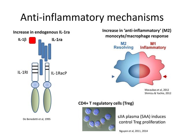Immune Mechanisms of Inflamation in SJIA | PPTX
