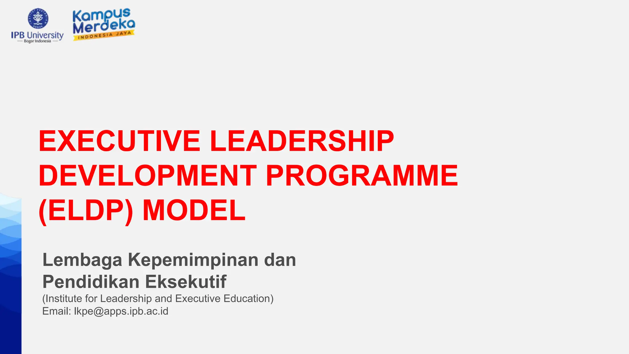 ilEAD MODEL for Professional education model | PPT