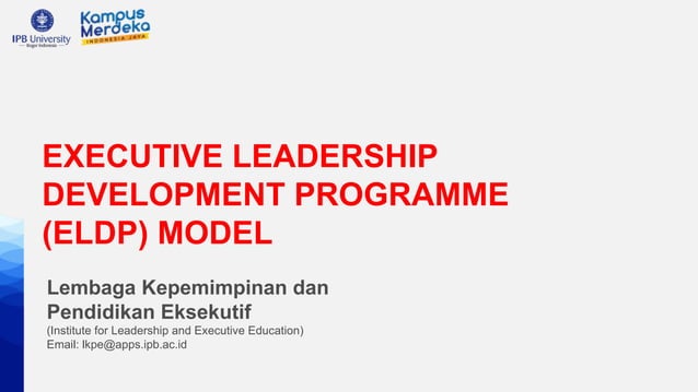 ilEAD MODEL for Professional education model | PPT